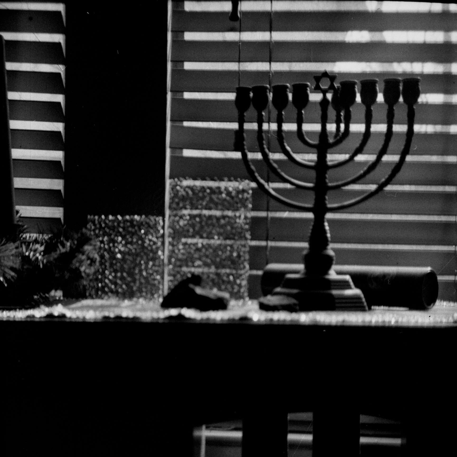 The Treasure - Jewish Family & Community Services East Bay